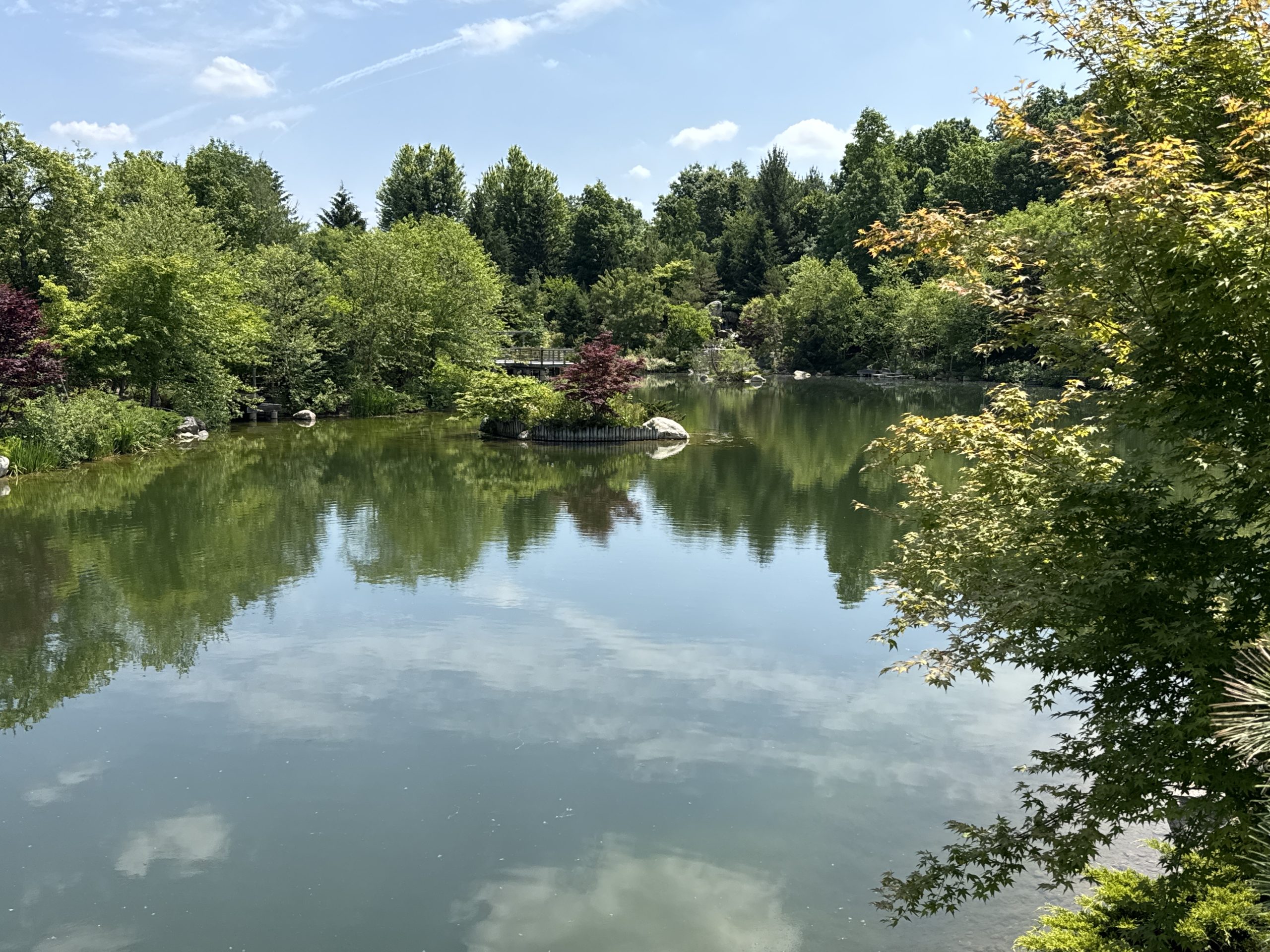 6 Summer Home Routines for Moms to Stay Sane (Without Missing the Fun)